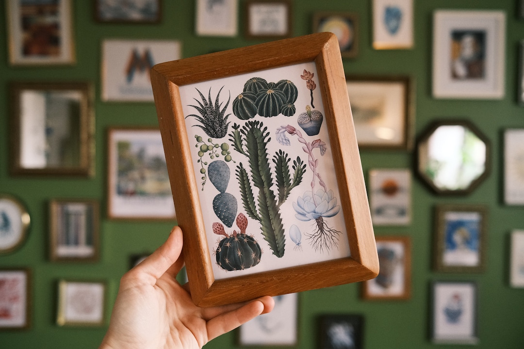 5x7" Solid Wood Rounded Corner Picture Frame / Made in Thailand / 5x7 ...