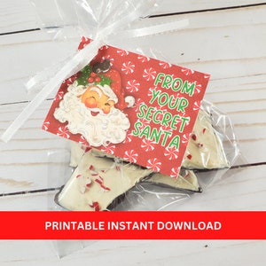 Printable Secret Santa Gift Tags for Work, Family Secret Santa Stickers ...