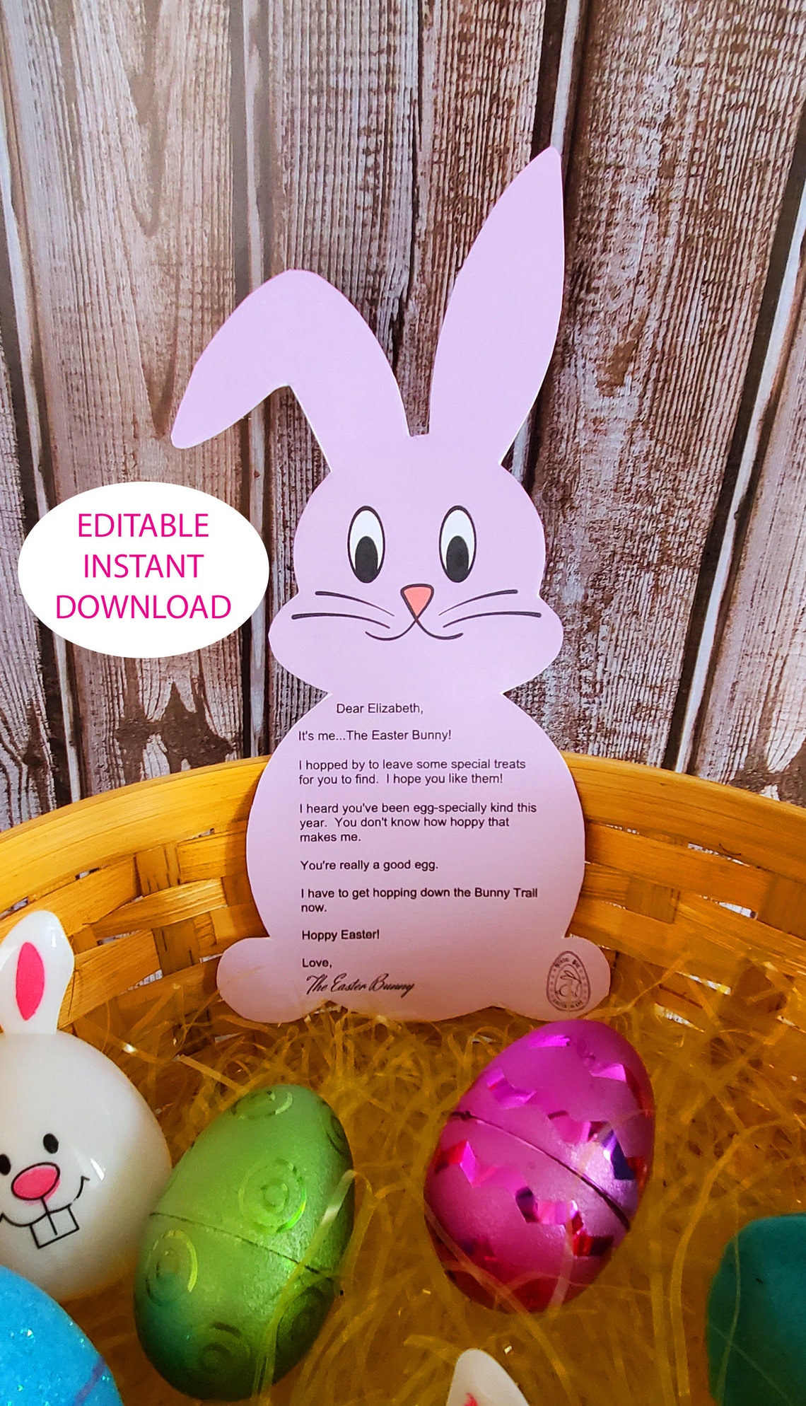 Editable Printable Easter Bunny Letter to Child Instant | Etsy