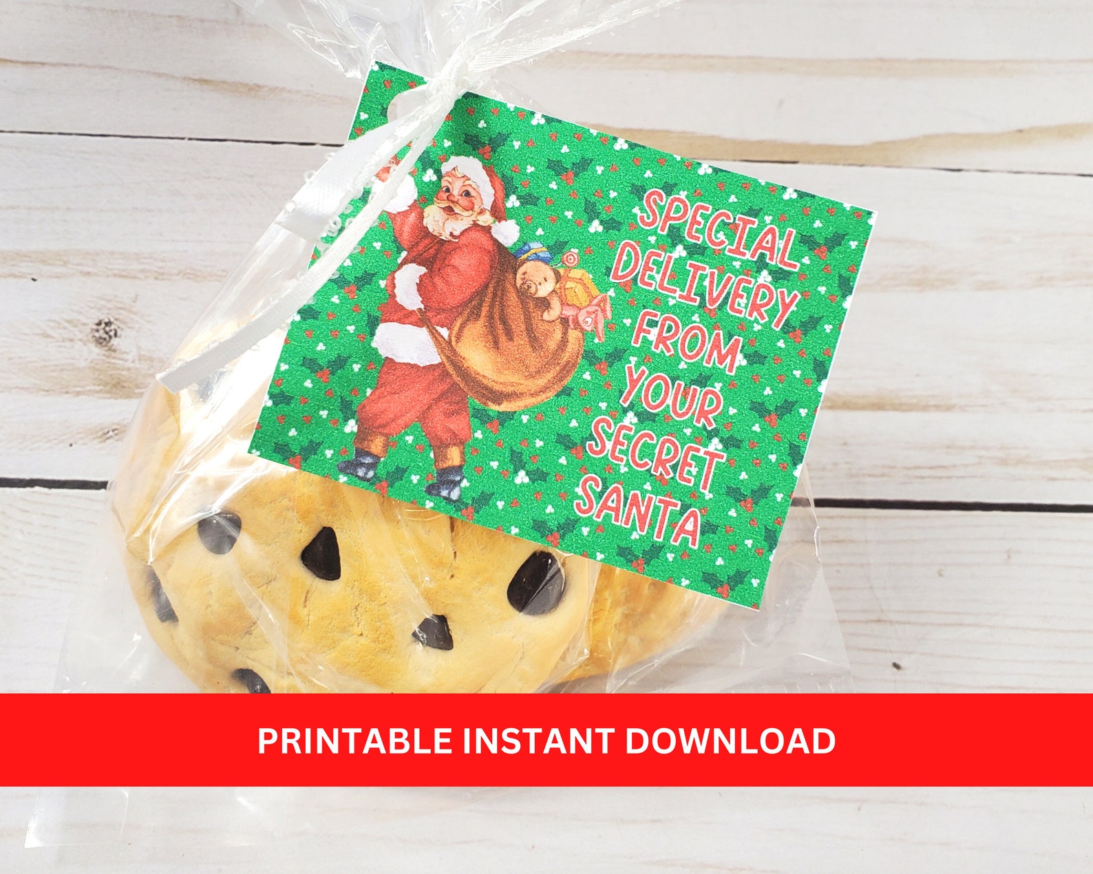 Printable Secret Santa Gift Tags for Work, Family Secret Santa Stickers ...