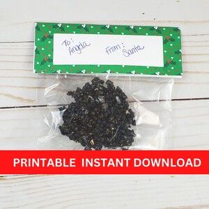 Printable Naughty List Lump of Coal Bag Toppers, Elf Ideas Funny Gifts ...