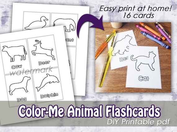 Color-me Animal Flashcards PDF DIY Flashcards Animal | Etsy