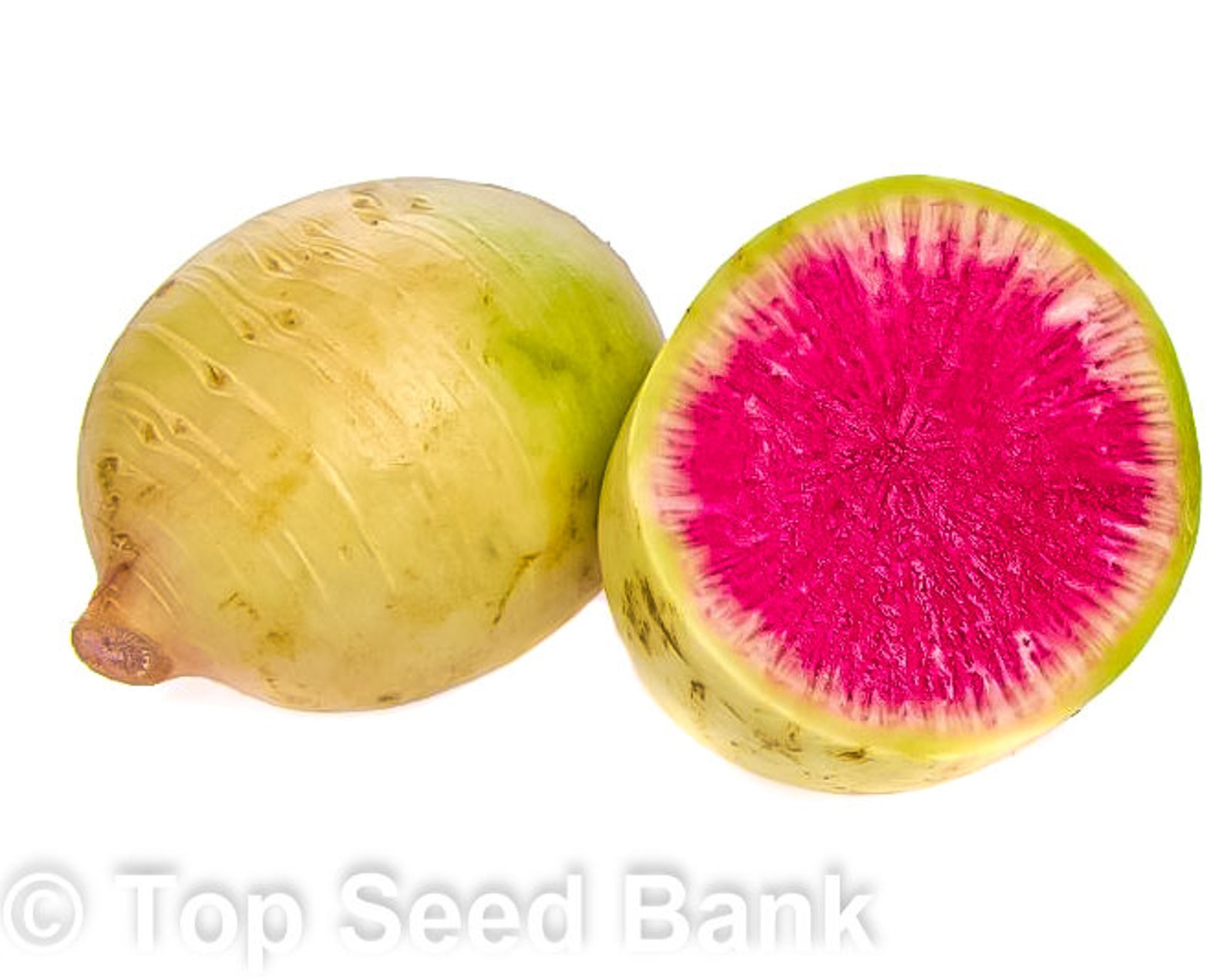 100 Watermelon Radish Seeds Chinese Red Meat Radish Xin Li | Etsy