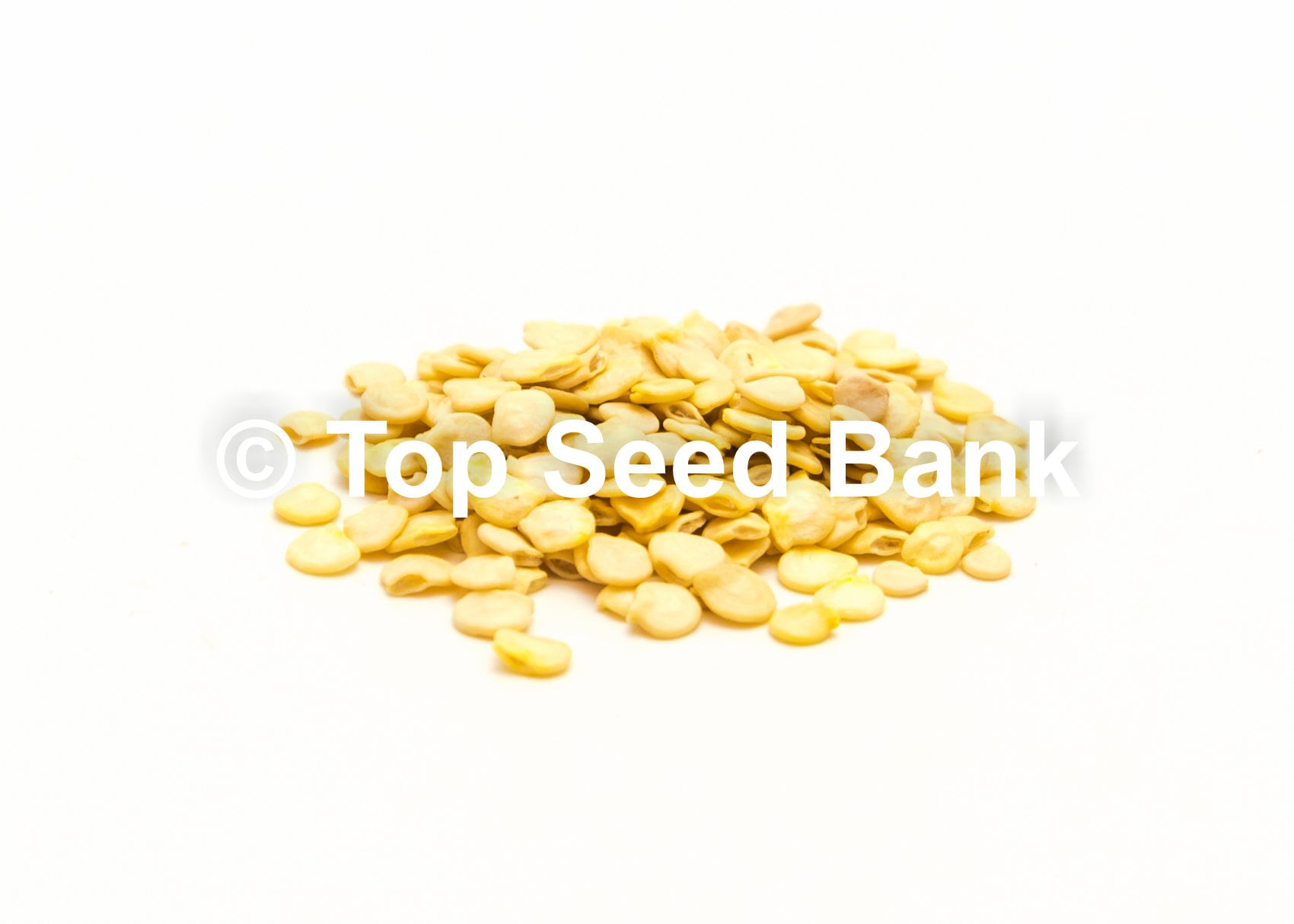 20 Lunchbox Pepper Mix Seeds Snack Peppers Free GIFT | Etsy