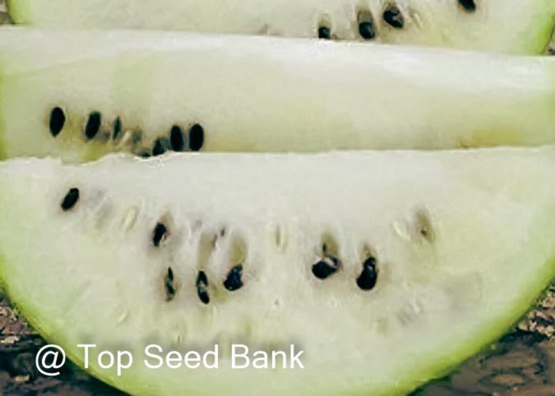 10+ Silver Yamato Watermelon Seeds, Snowy Fleshes + Free GIFT ...