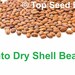 15+ Pinto Shell Bean Seeds, Speckled Bean Beans + Free GIFT | Easy to ...