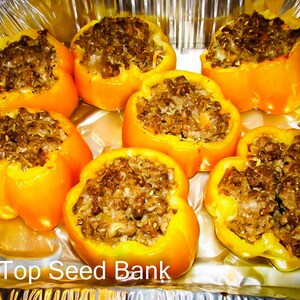 10+ Yellow Stuffer Tomato Seeds, Pepper-shaped + Free GIFT | Organic ...