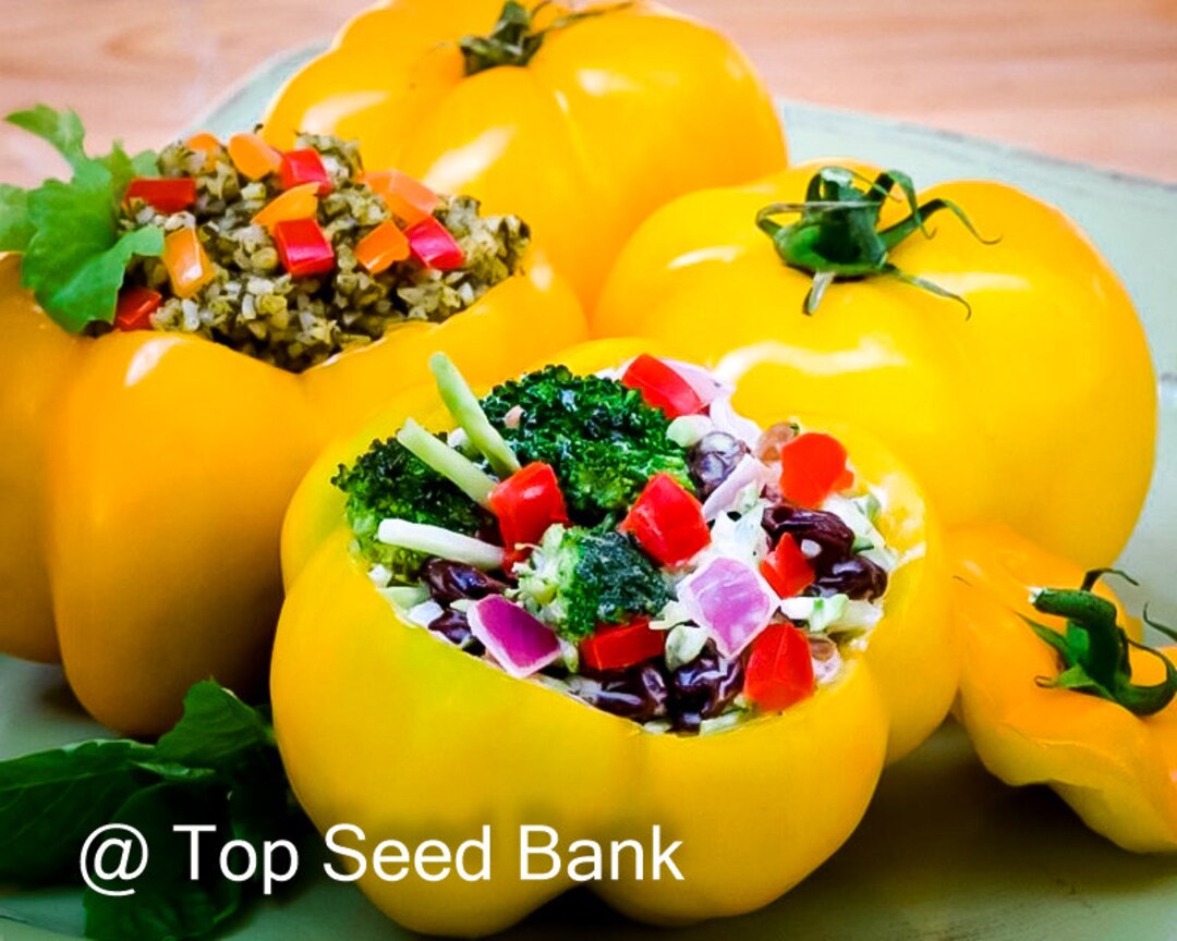 10+ Yellow Stuffer Tomato Seeds, Pepper-shaped + Free GIFT | Organic ...