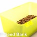 15 Pinto Shell Bean Seeds, Speckled Bean Beans Free GIFT Easy to Grow ...