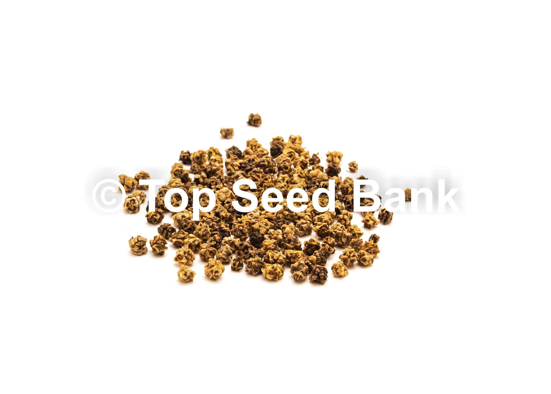 30 Vulcan Swiss Chard seeds Red Chard Free GIFT | Etsy