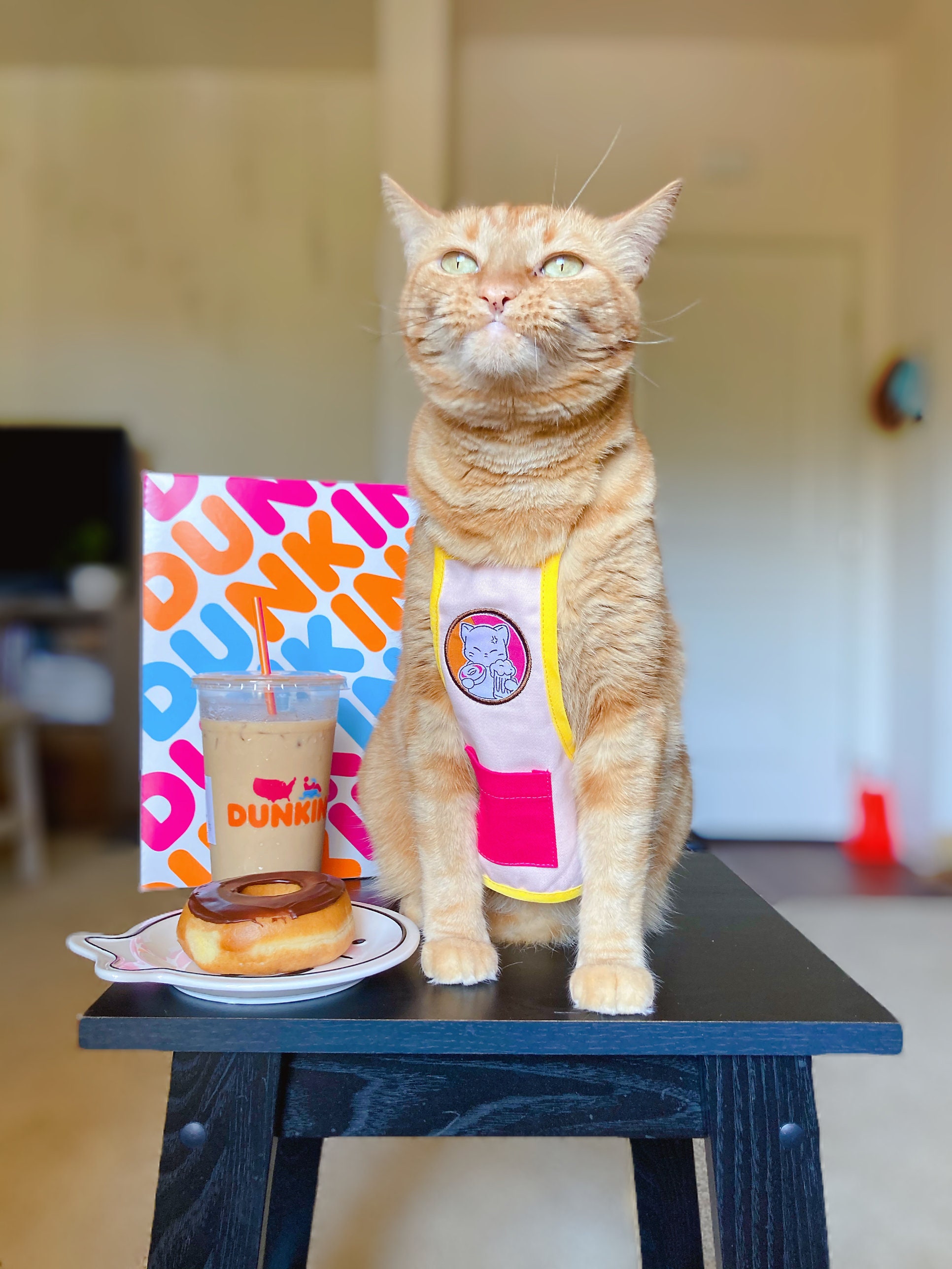 Drunkcat Donut Apron | Etsy