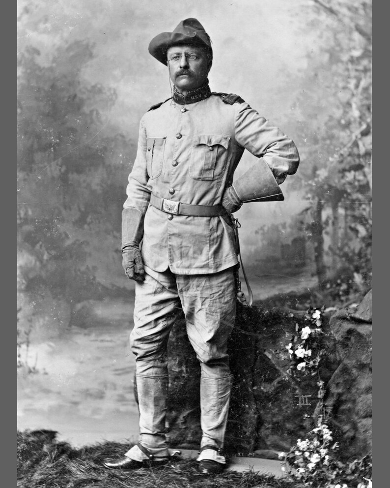 Historical Poster Print: Full Length Col. Theodore Roosevelt in Uniform ...