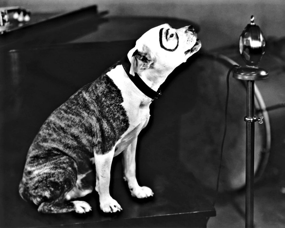 Historical Poster Print: Pete the Pup - Our Gang - Little Rascals Pit ...