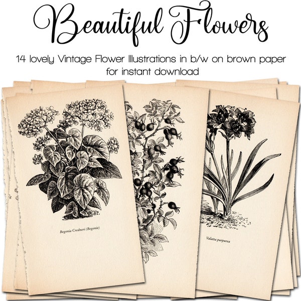 Vintage Flower Book - Etsy