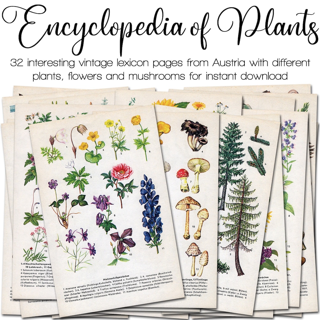 Vintage Encyclopedia Pages With Plants, Flowers, and Mushrooms Junk ...