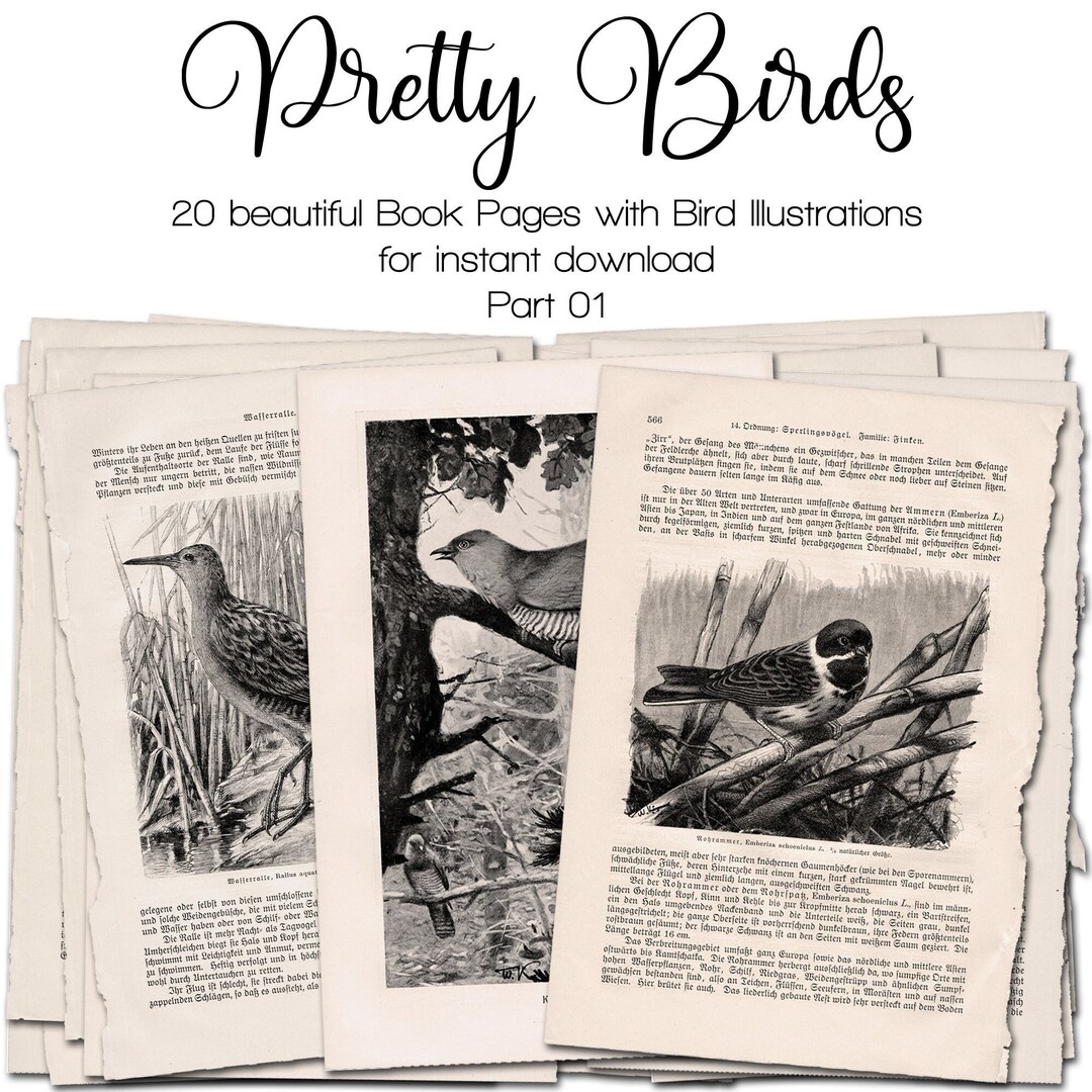 Vintage Bookpages Bird Illustrations, Part 01 Ornithology Junk Journal ...