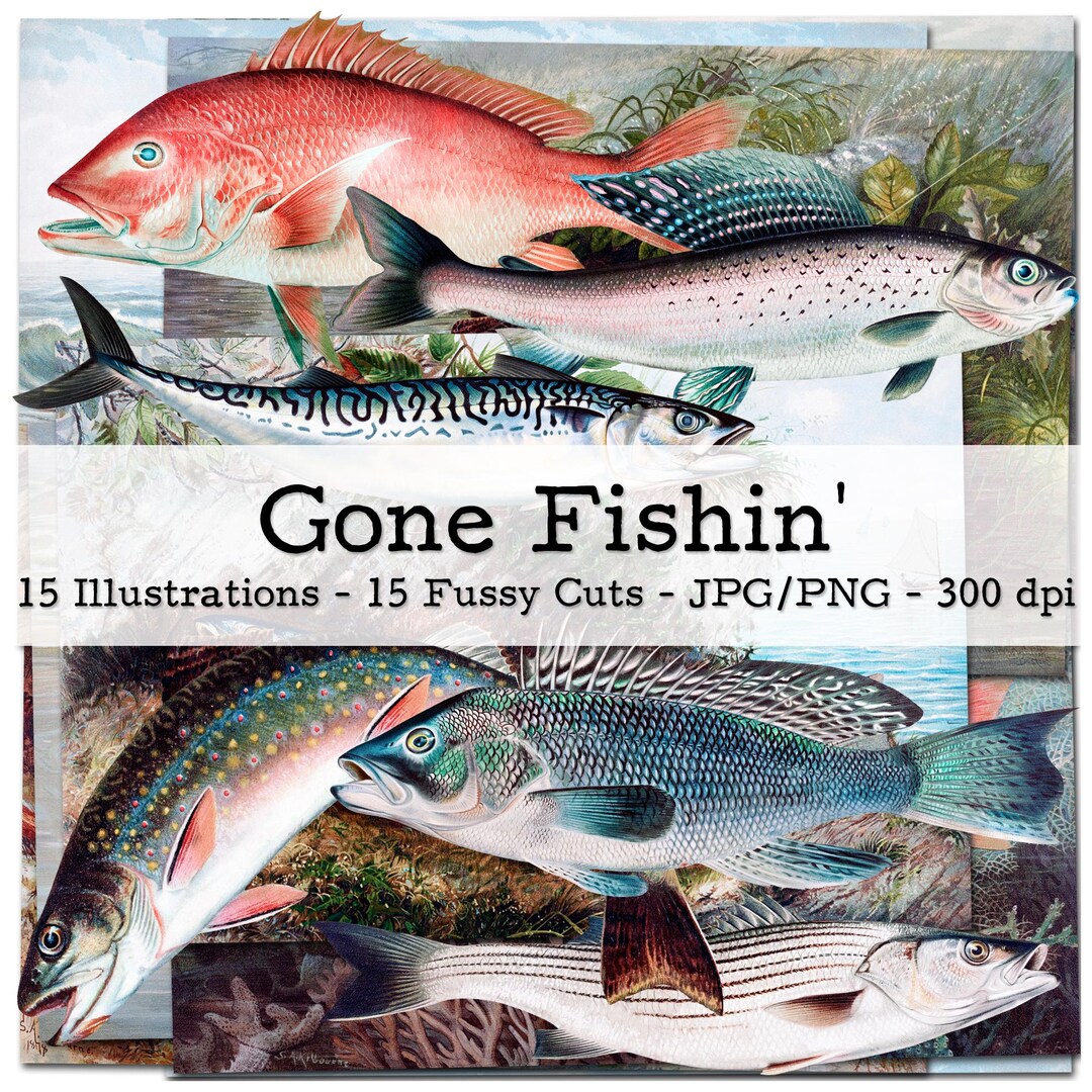Vintage Fish - Illustrations | Ephemera 1870s | Junk Journal Kit | Wall ...