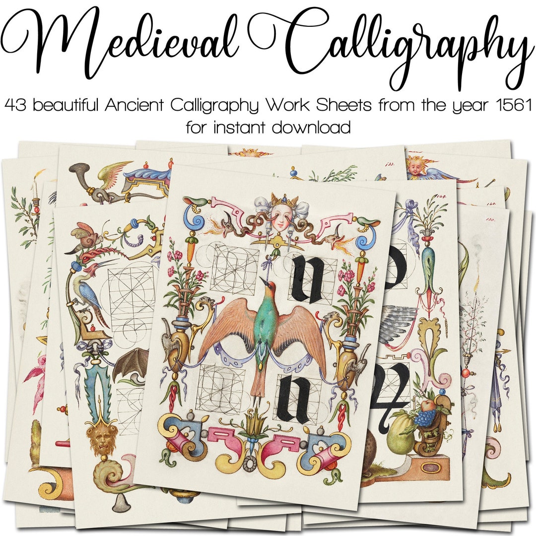 Calligraphy Work Sheets | Mira Calligraphiae Monumenta 1561 | Junk ...