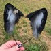 Night Moth Wolf Ears Gray Wolf Ears Realsitic Wolf Ears Dog Ears ...