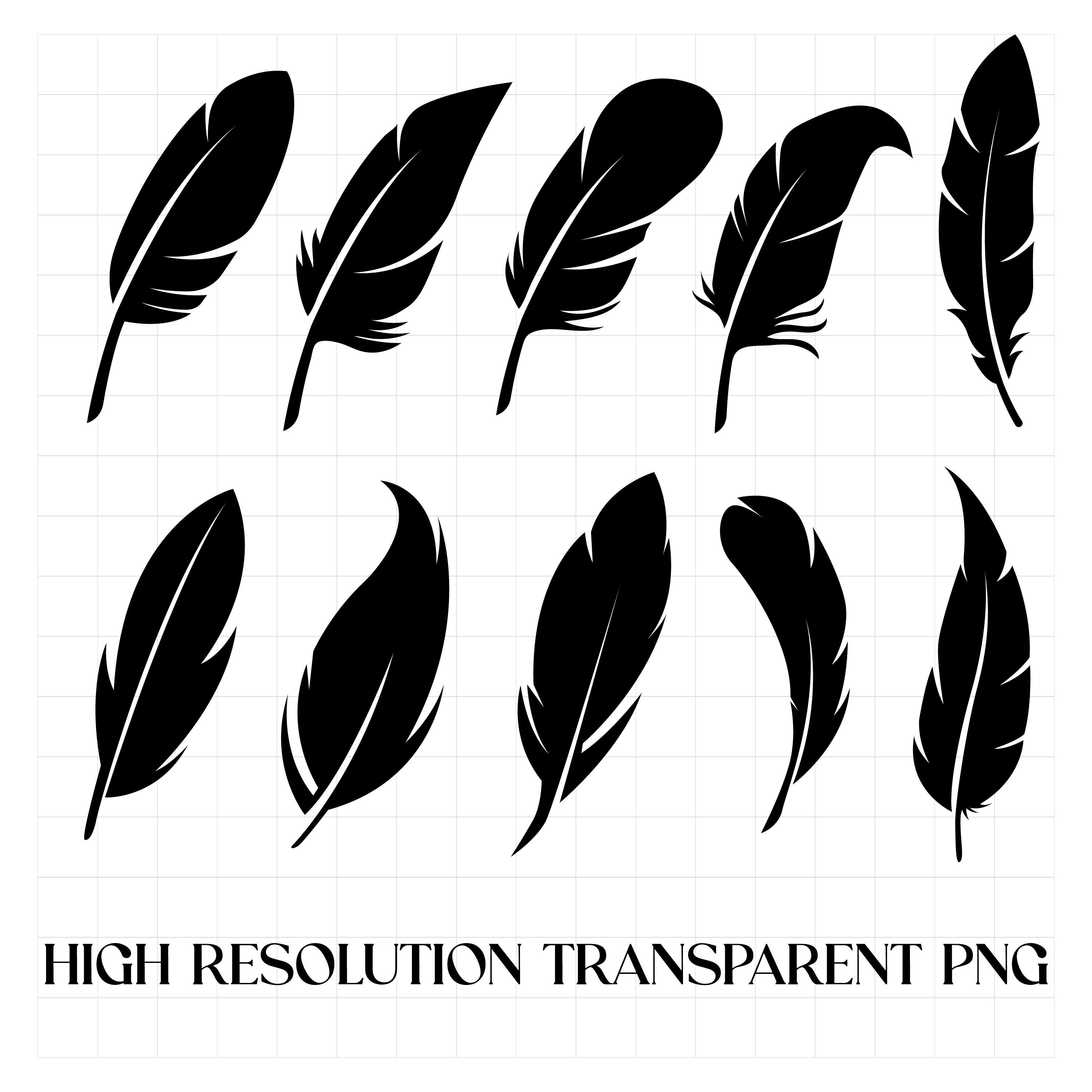 Decorative Feather SVG Bundle | Feather Cut File for Cricut ...