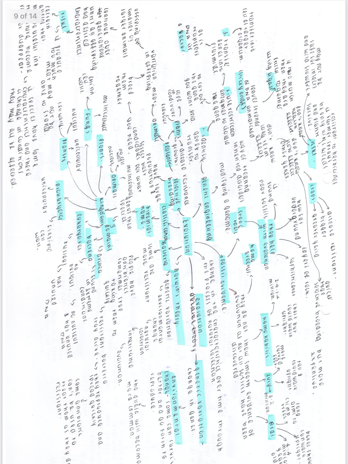 GCSE Biology Mind Maps - Etsy
