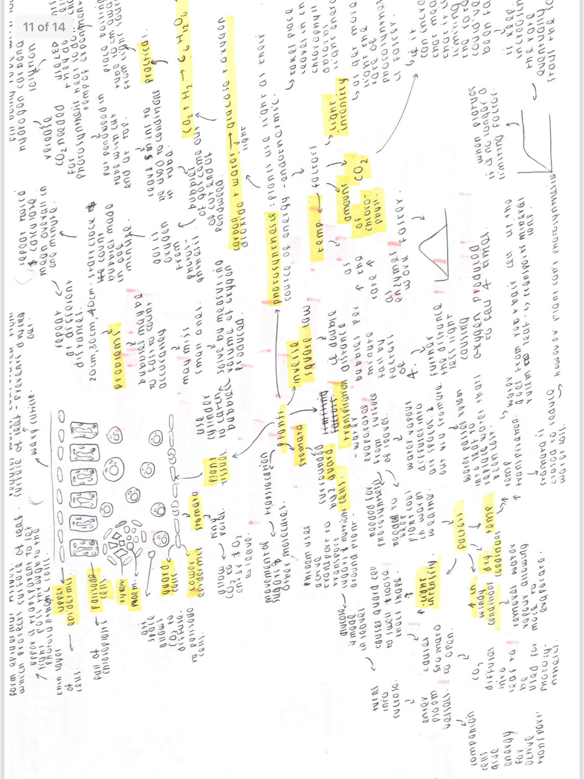 GCSE Biology Mind Maps - Etsy