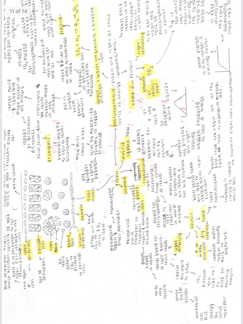 GCSE Biology Mind Maps - Etsy