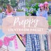 Preppy Preset Pack - 4 Preppy Lightroom Presets, Instagram Filters, Influencer Preset, Blogger ...