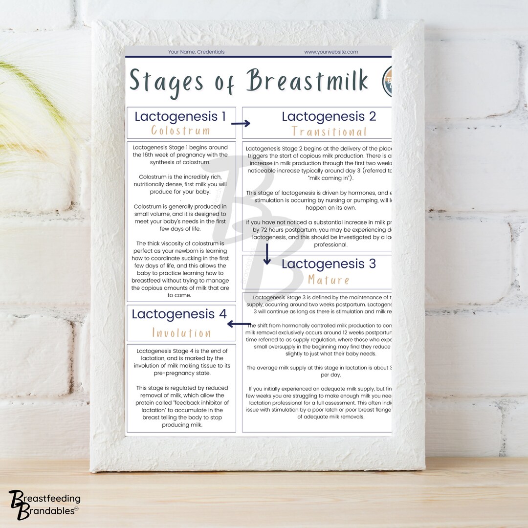 Stages of Breast Milk Client Canva Template Handout, Lactogenesis ...