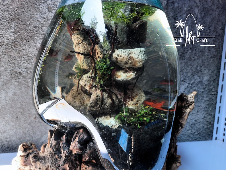 XL Molten Glass Driftwood Aquarium: Handmade Betta Fish Bowl, Waterfall ...