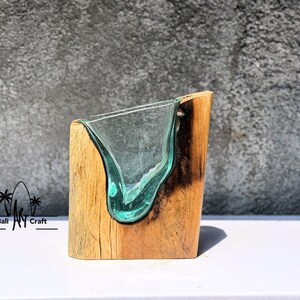 Molten Glasses V Vases / Pots / Aquascape / Roots / Gamal Wood - Etsy