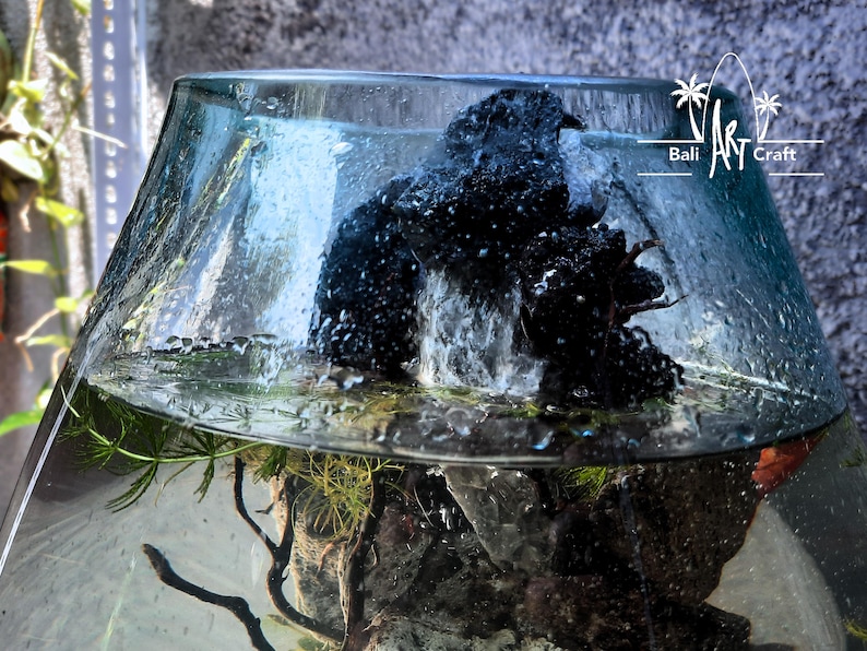 XL Molten Glass Driftwood Aquarium: Handmade Betta Fish Bowl, Waterfall ...