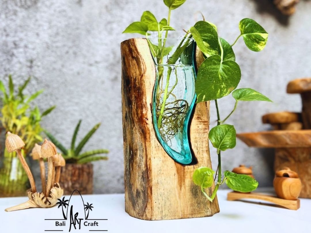 Molten Glasses Flower Vases 11 Inch on Wood / Pots / Aquascape / Roots / Gamal Wood - Etsy