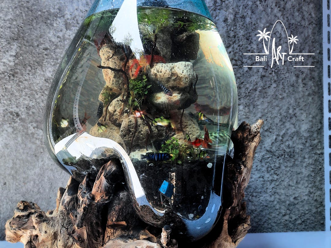 XL Molten Glass Driftwood Aquarium: Handmade Betta Fish Bowl, Waterfall ...