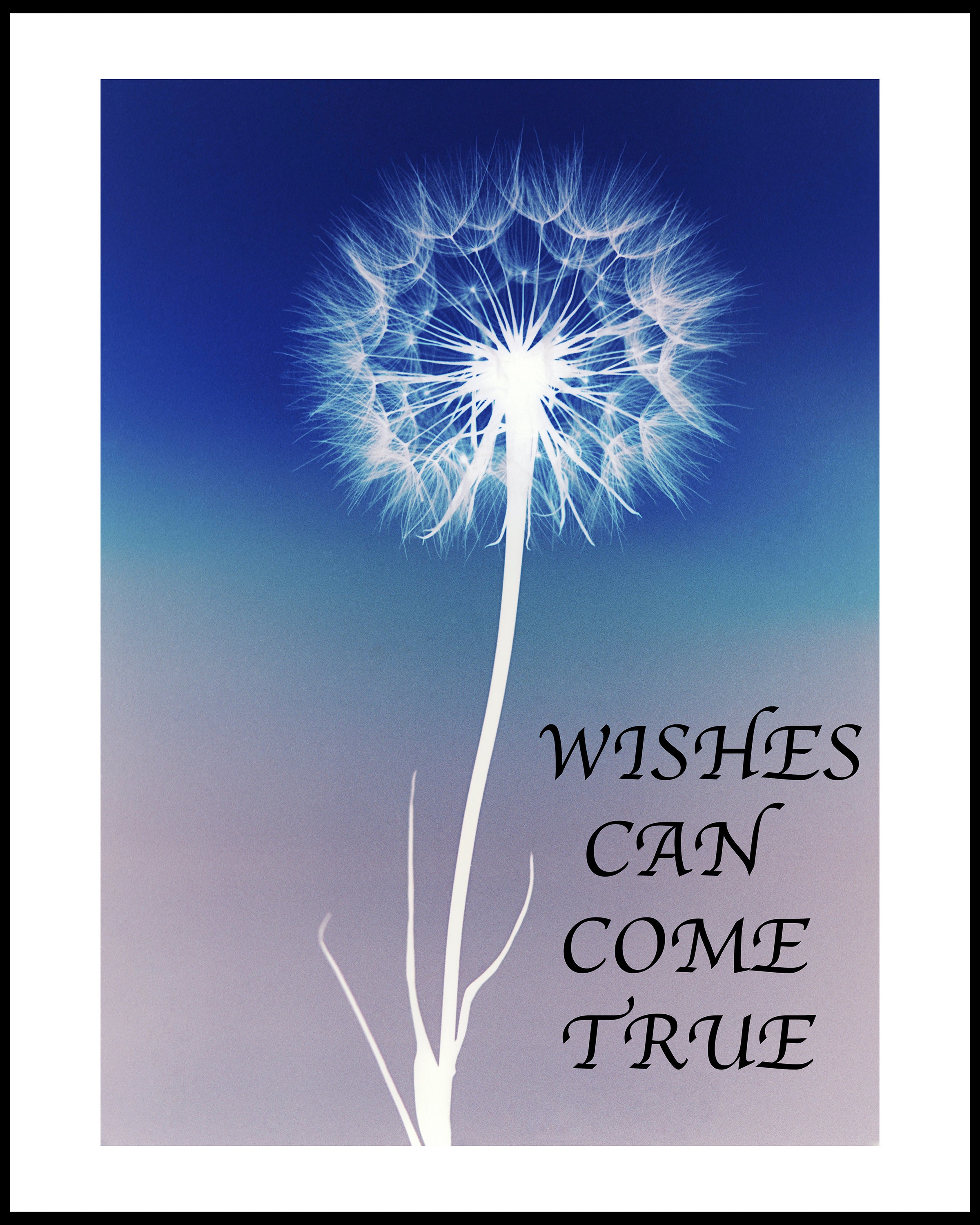 Make A Wish Dandelion Wishes Can Come True Wish Hope | Etsy