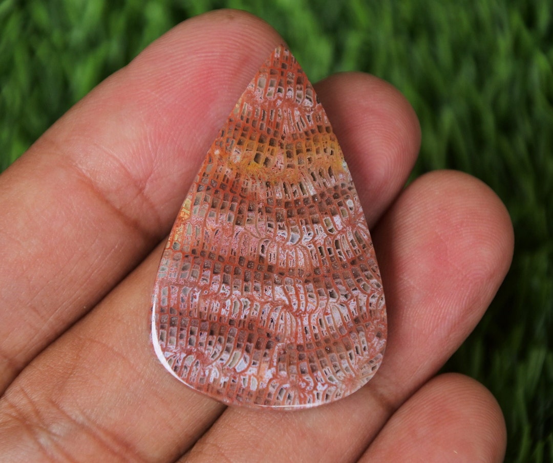 Fossilized Scales Coral Agate,agate Rock,agate Stone, Malachite ...