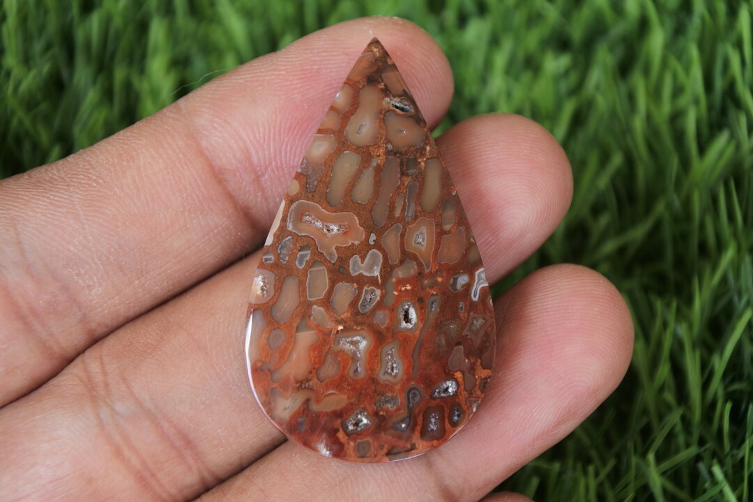 Fossilized Palm Tree,agate Rock,agate Stone, Malachite Gemstone,mohs ...