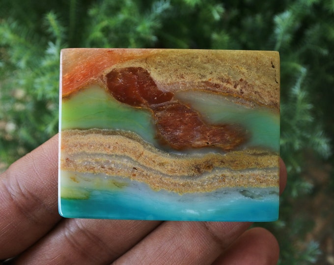 Large Opalized Petrified Wood - Etsy