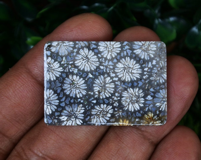 Black Coral Agate,agate Rock,agate Stone, Malachite Gemstone,mohs ...