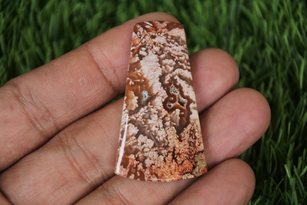 Tranluscent Multicolor Palmroot,agate Rock,agate Stone, Malachite ...