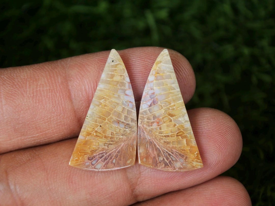 Scales Coral Agate Pair,agate Rock,agate Stone, Malachite Gemstone,mohs ...