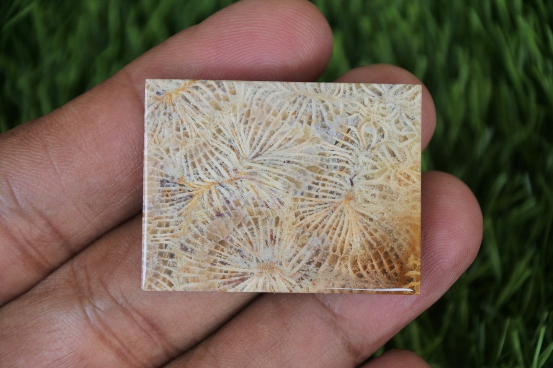 Coral Agate,agate Rock,agate Stone, Malachite Gemstone,mohs Scales of ...