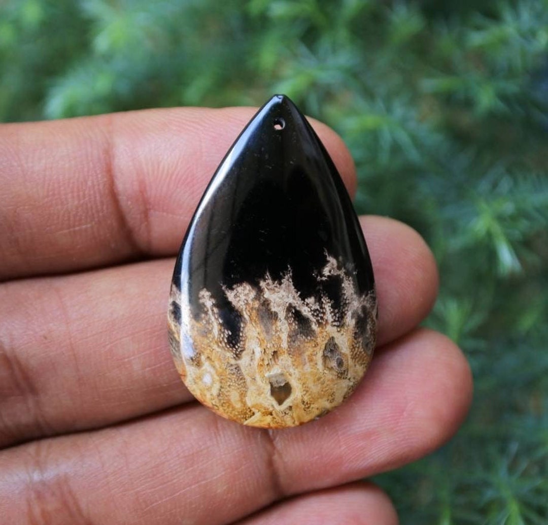 Fossilized Black Palm Tree - Etsy