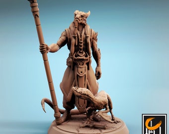 Dragonborn Wizard Miniature - Etsy