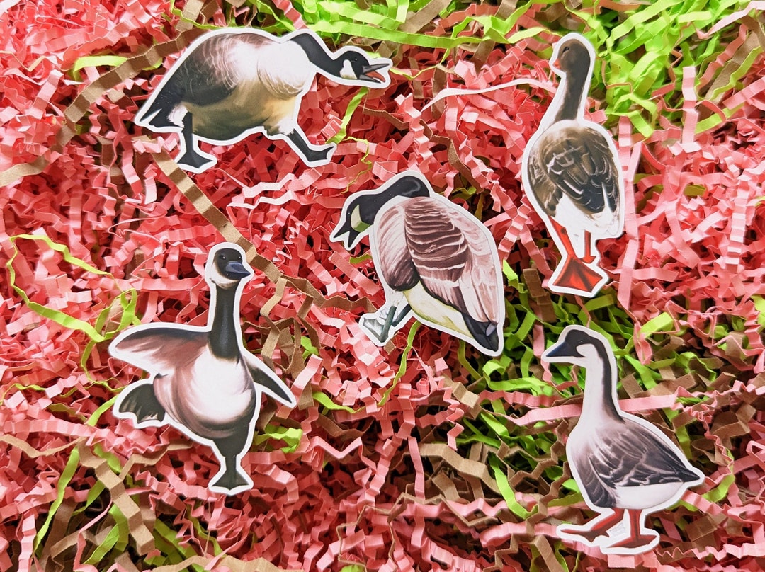 Funny Geese Sticker Set 5 Pcs Vinyl Sticker Laptop Sticker Decorative ...