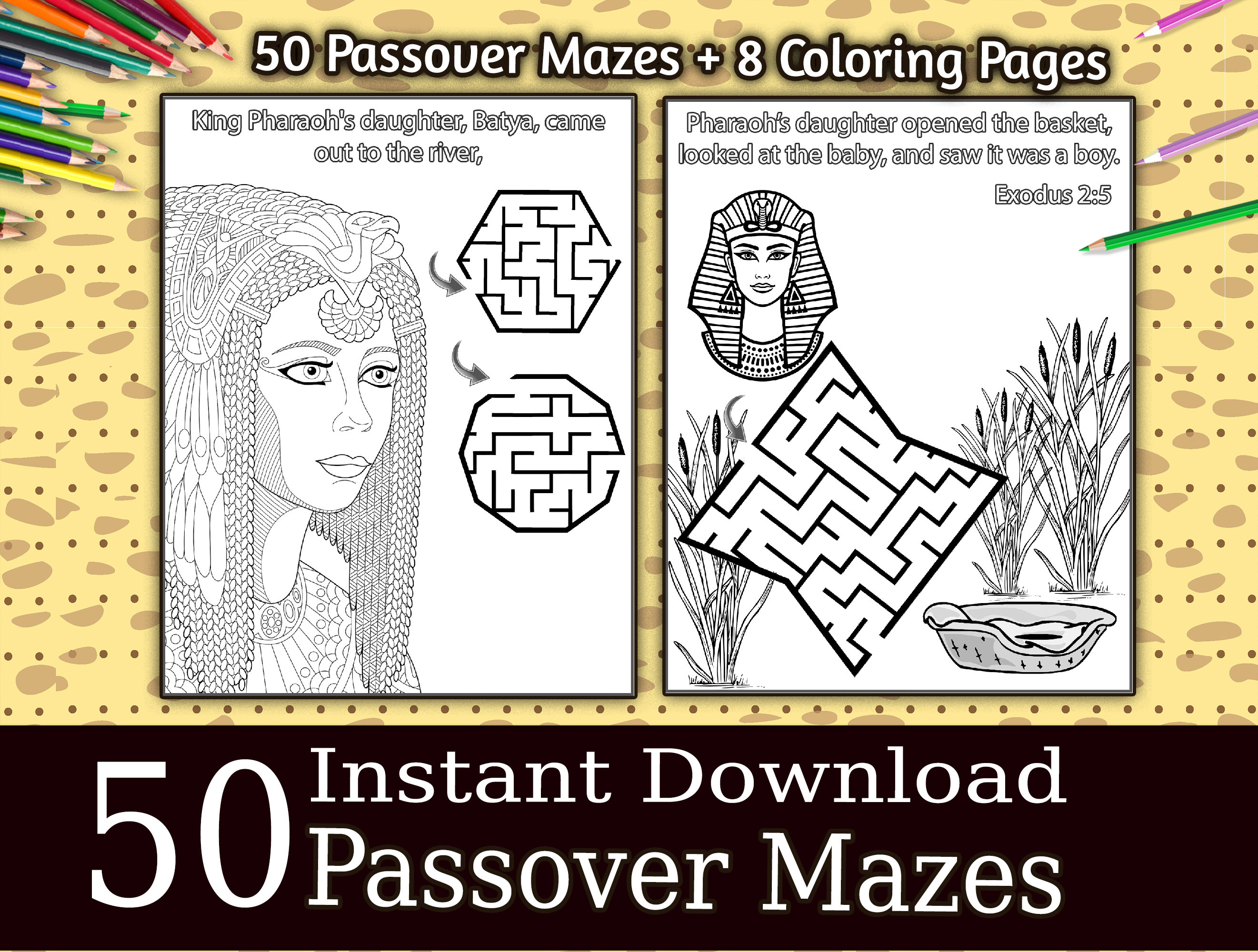 50 Passover Seder Mazes Activity Book (digital Download) - Etsy