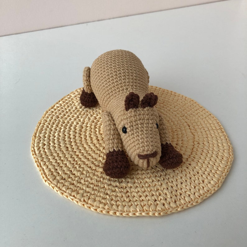 Crochet Pattern for Capybara, Amigurumi, Capybara - Etsy