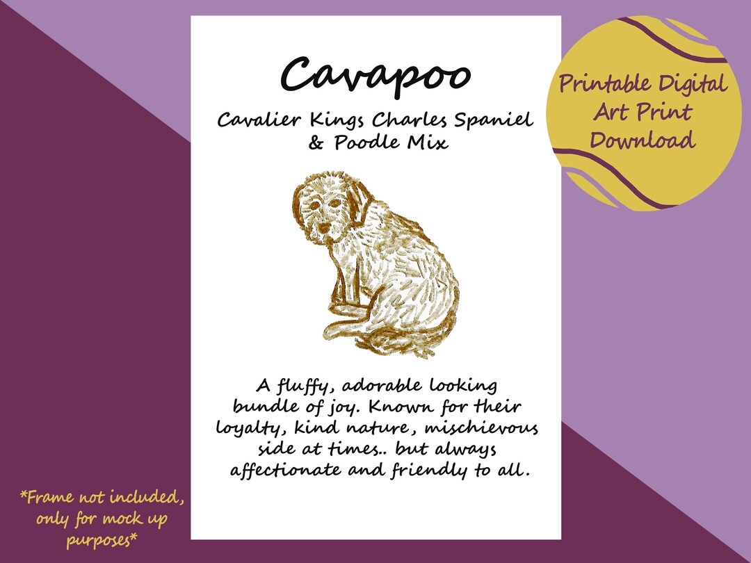 Cavapoo Dog Breed Printable Wall Art – Cavalier King Charles Spaniel ...
