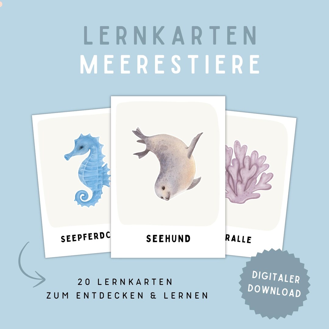 Sea Animals Flashcards for Children - Montessori - 20 X A6 Cards ...