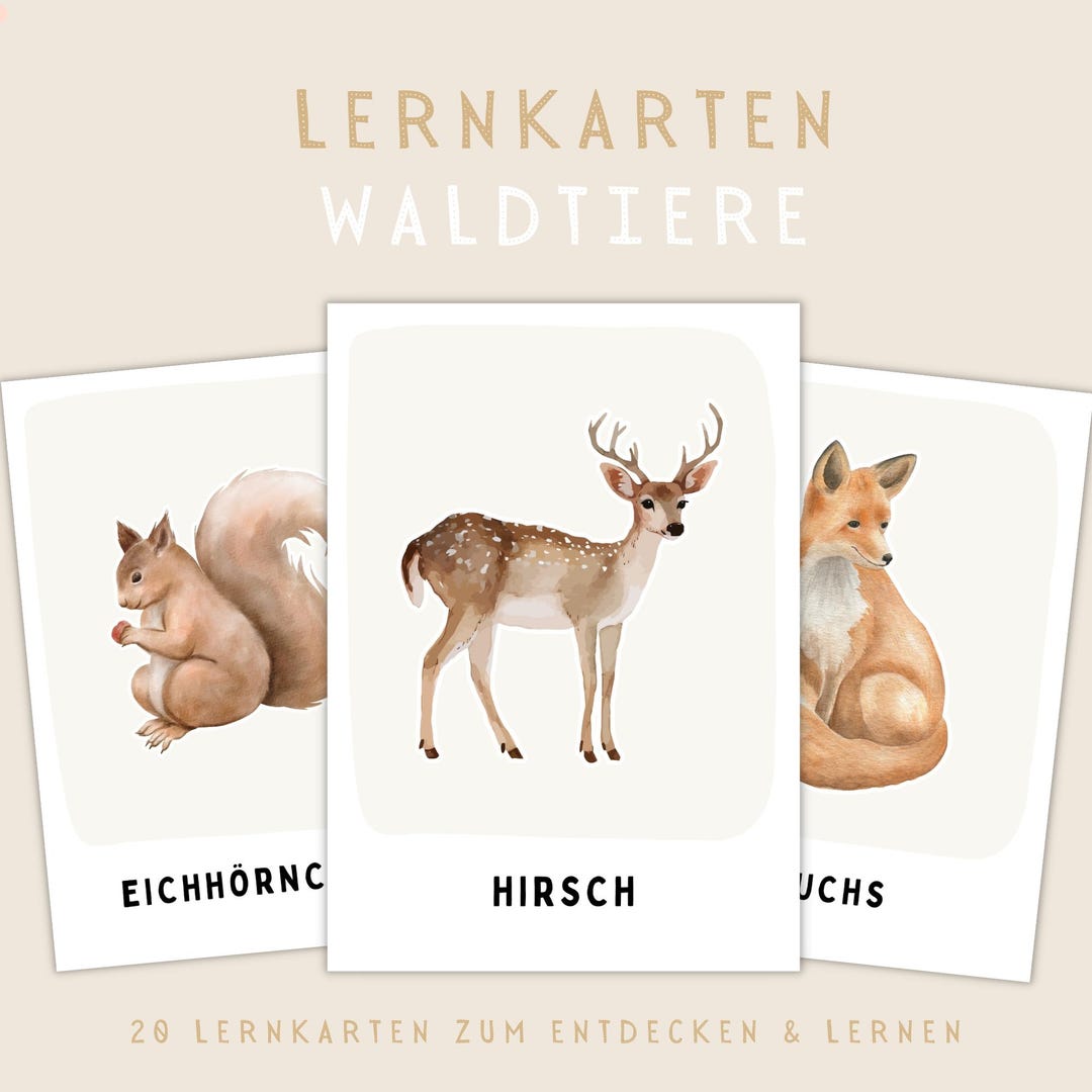 Forest Animals Flashcards | 20 A6 Cards | PDF & ZIP | Montessori ...